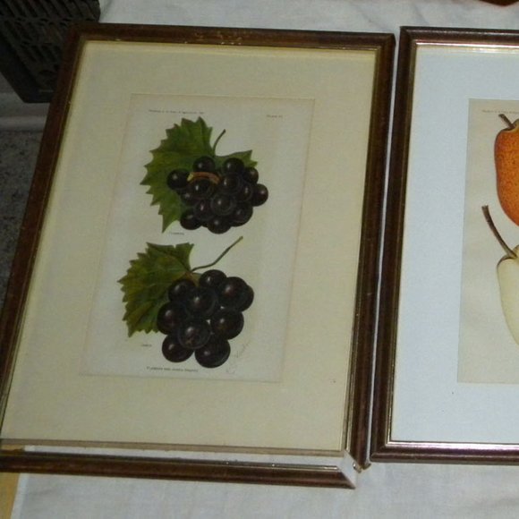 Accents | 3 Vintage Lithograph Prints From 1912 And 1913 | Poshmark